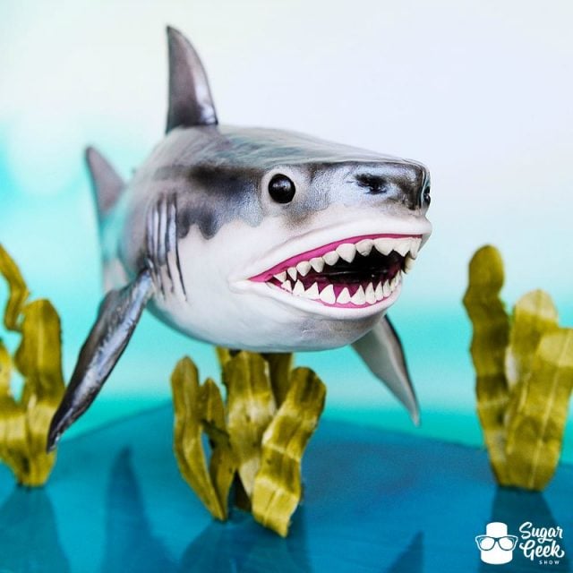 Shark Cake for Shark Week + Tutorial | Sugar Geek Show