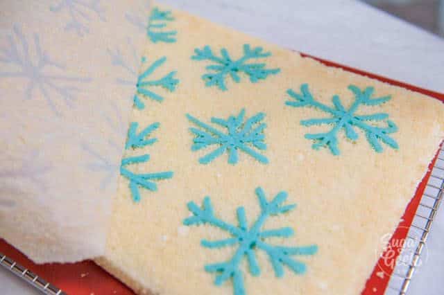 Easy Pattern Roll Cake Recipe + Tutorial – Sugar Geek Show