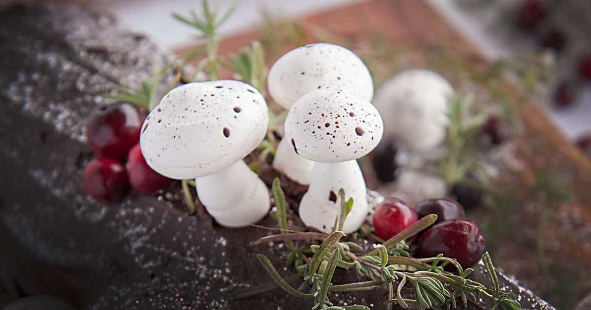 Easy Meringue Mushrooms Recipe + Tutorial – Sugar Geek Show