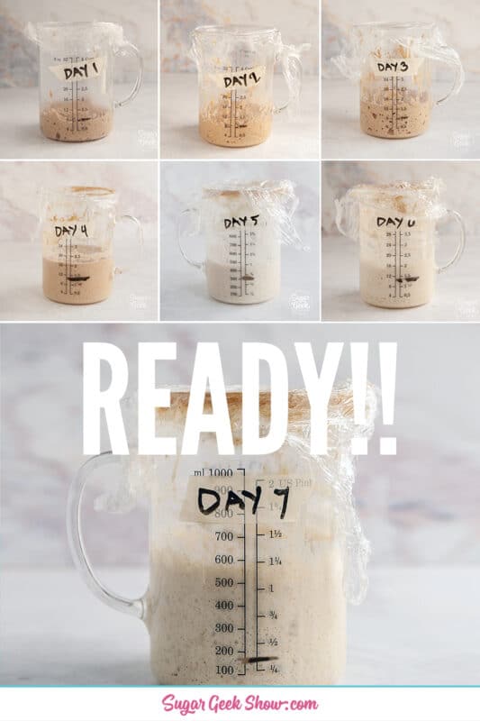 Why Is My Sourdough Starter Not Rising? (And How To Fix It) – Sugar ...