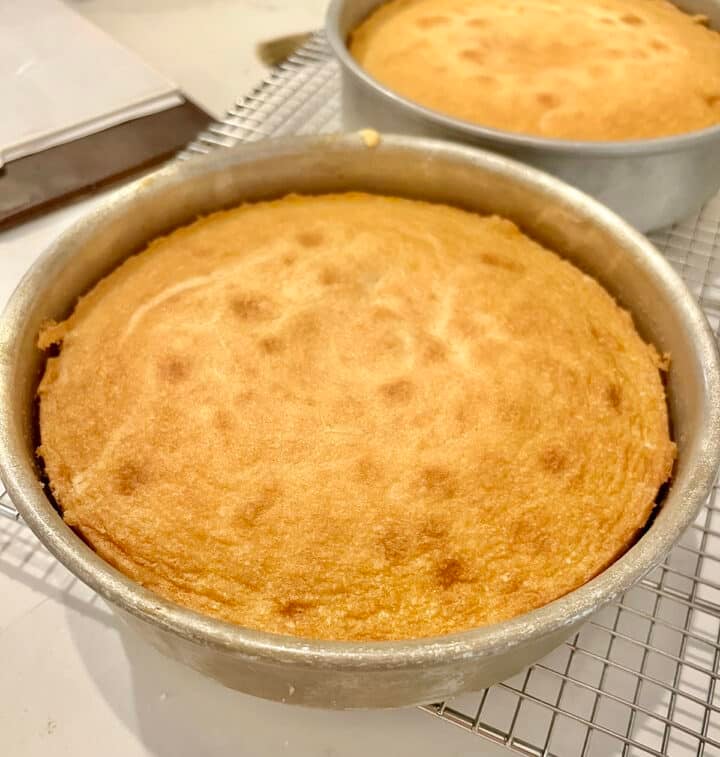 Moist Vanilla Cake Recipe (Reverse Creaming Method)
