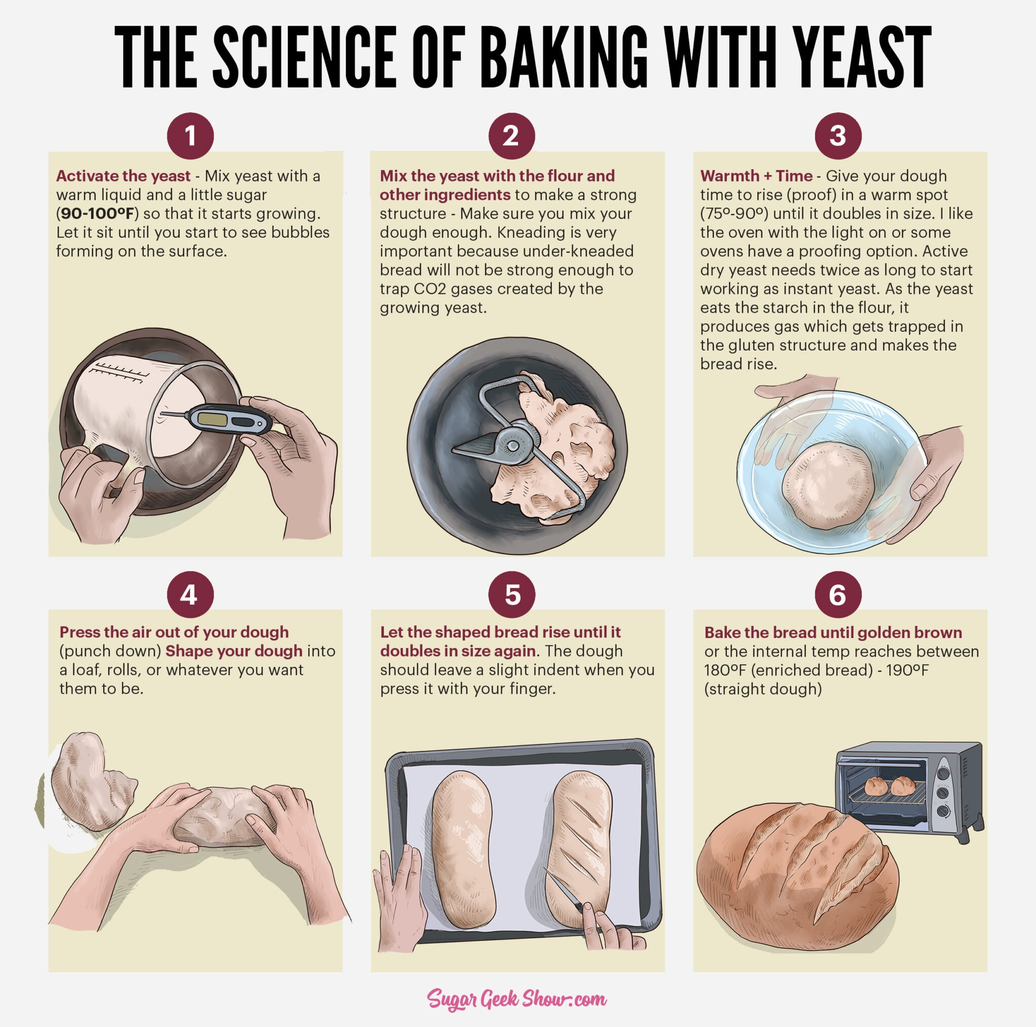 Soft Homemade Brioche Bread Recipe – Sugar Geek Show