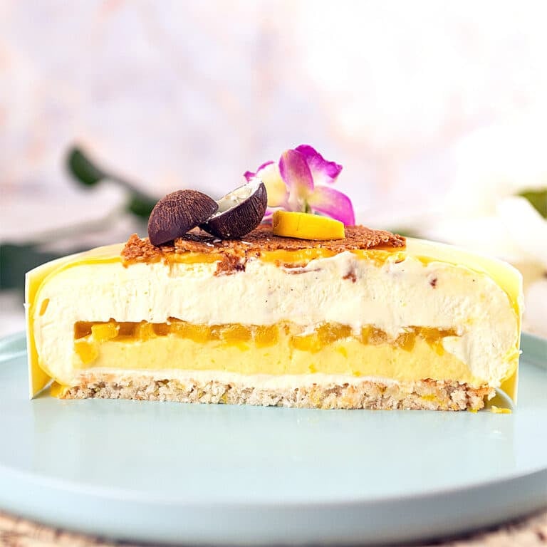 Entremets Recipes that are sure to Impress – Sugar Geek Show