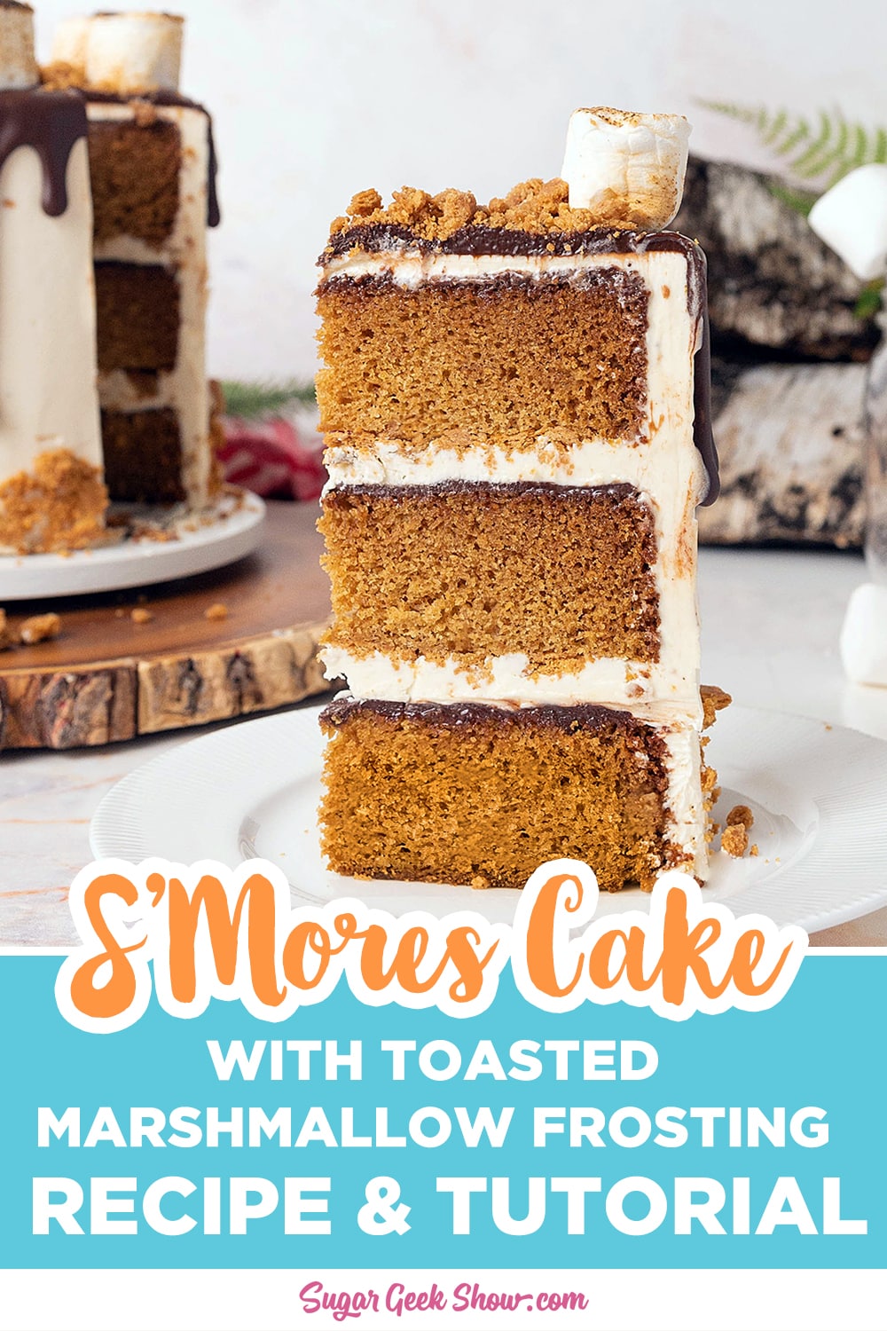 The Ultimate S'mores Cake With Toasted Marshmallow Fluff Frosting