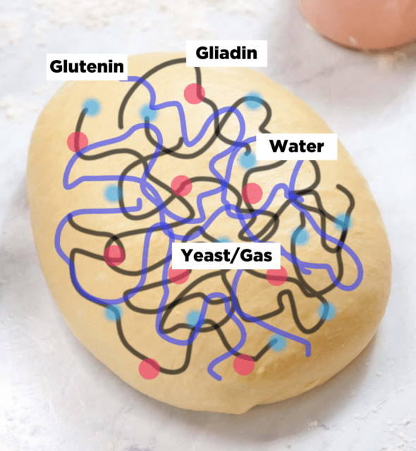 Windowpane Test For Bread – Sugar Geek Show