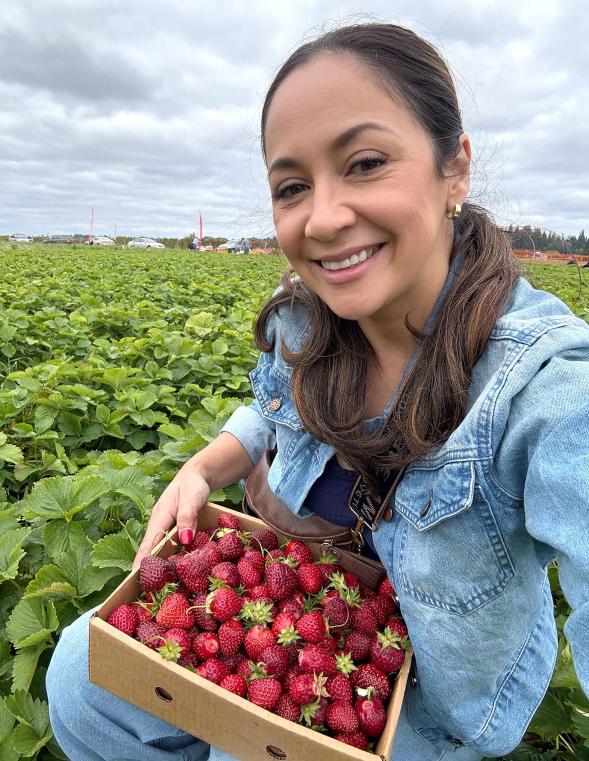 10 Minute Strawberry Topping – Sugar Geek Show