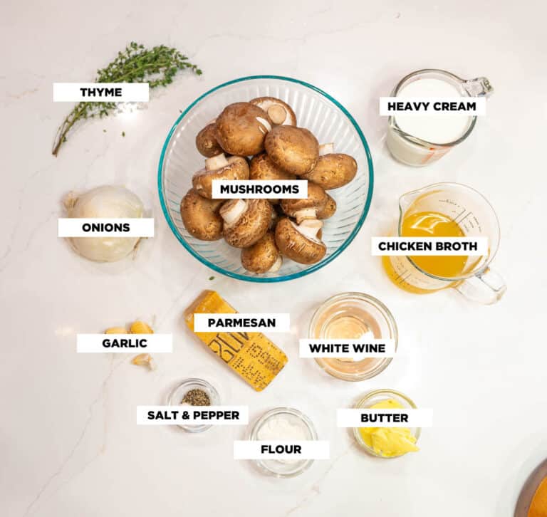Mushroom cream sauce – Sugar Geek Show