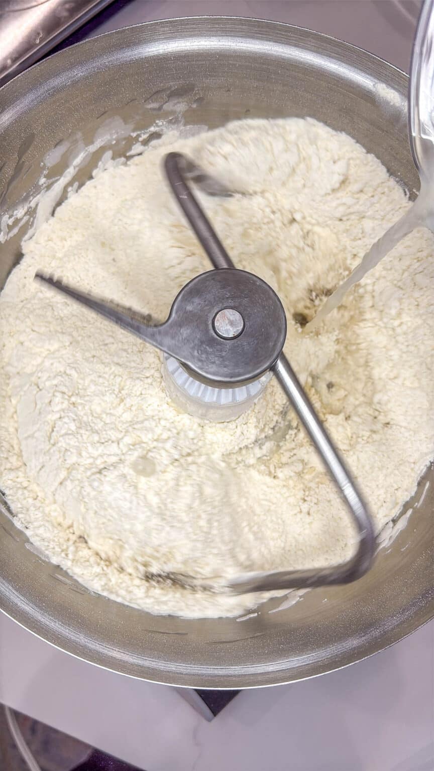 Sourdough Discard Bagels – Sugar Geek Show